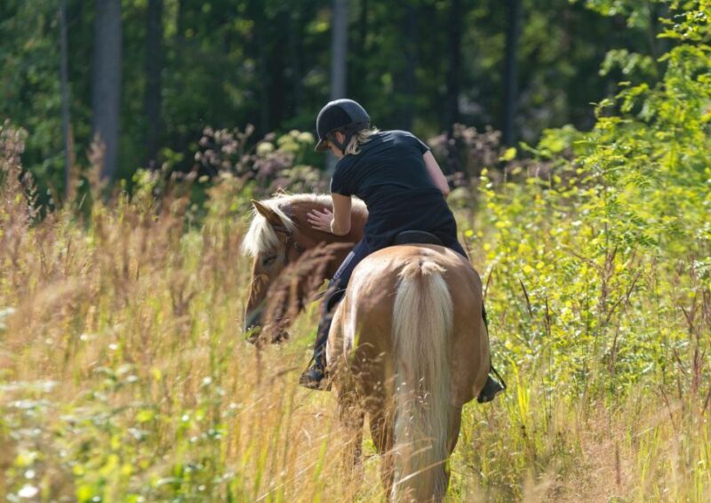 Cruseilles: Horseback Riding in the Countryside - The Sum Up: Is This Tour Worth It?