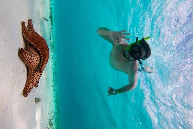 Crystal blue cozumel awaits you - Discovering Cozumel’s Hidden Gems with Crystal Blue Cozumel Tour