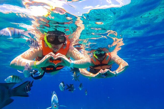 Crystal Boat Trip and Snorkeling Tour from Cozumel - Authentic Encounters and Real Traveler Feedback
