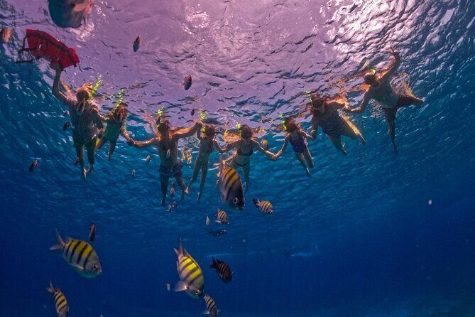 Crystal Boat Trip and Snorkeling Tour from Cozumel - Frequently Asked Questions (FAQs)