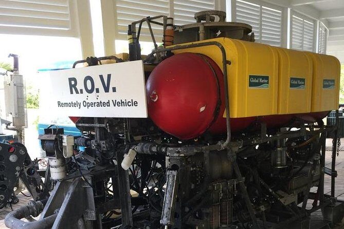 Crystal Caves and Bermuda Underwater Exploration Institute Admission - Who Will Love This Tour?