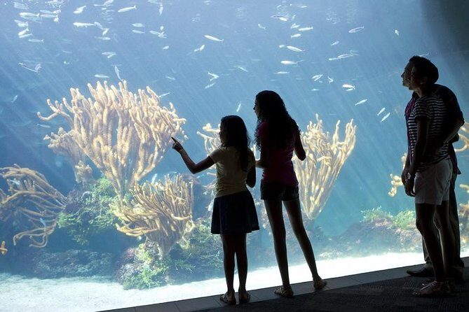 Crystal Caves, Aquarium, City of Hamilton and Ferry - A Close Look at the Itinerary