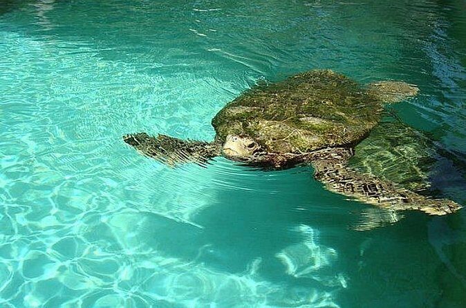 Crystal Caves, Aquarium, City of Hamilton and Ferry - FAQ