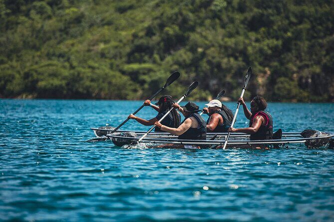 Crystal Kayak & Snorkel Eco Tour (with transfer) - Key Points