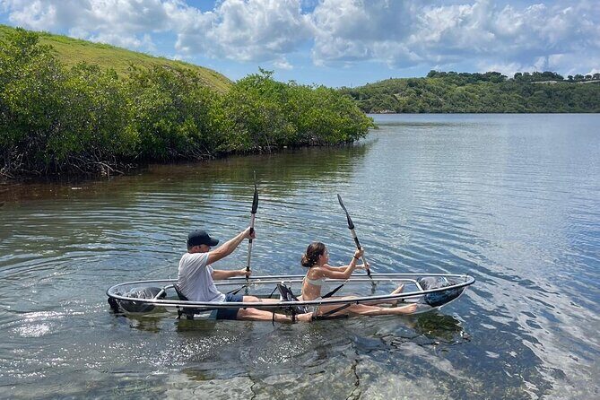 Crystal Kayak & Snorkel Eco Tour (with transfer) - What to Expect from the Tour