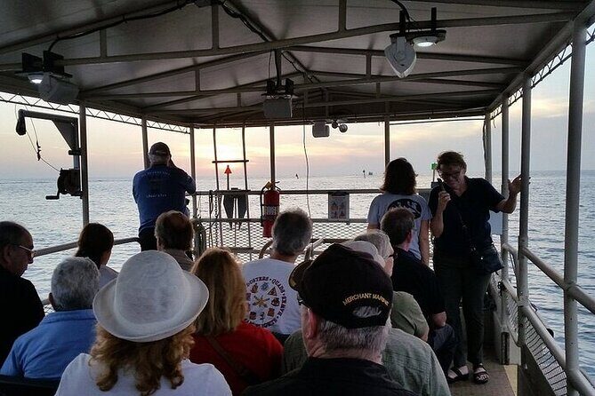 Crystal River Boat and Nature Tour - An In-Depth Look at the Crystal River Boat and Nature Tour