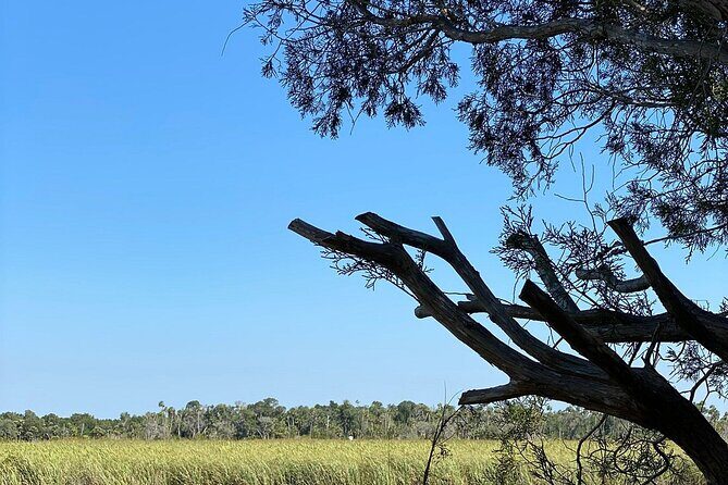 Crystal River Boat Tour - The Value of the Experience