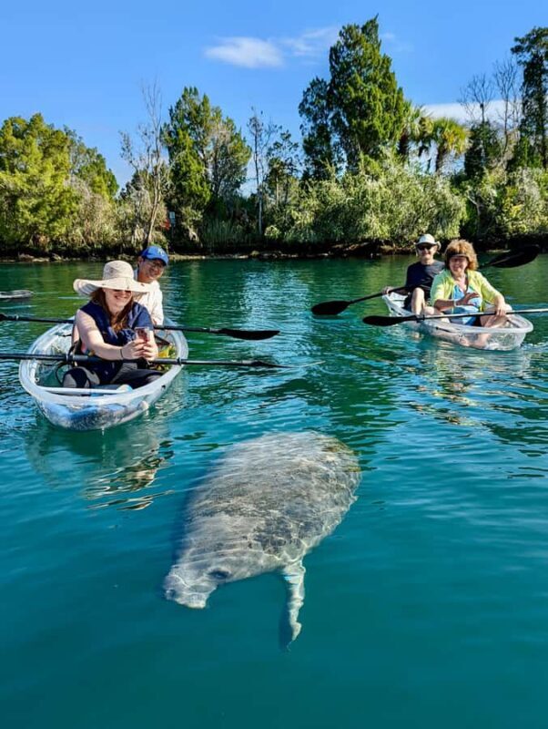 Crystal River: Clear Kayak Manatee & Springs Tour - An In-Depth Look at the Crystal River Kayak Tour