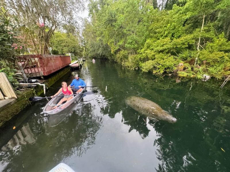 Crystal River Clear Kayak Sunset & Night Glow Tour - FAQs