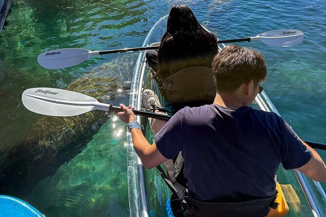 Crystal River Florida: Clear Kayak Guided Manatee Eco-Tour - Final Thoughts