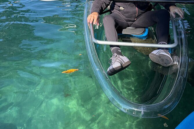 Crystal River Florida: Clear Kayak Guided Manatee Eco-Tour - FAQ