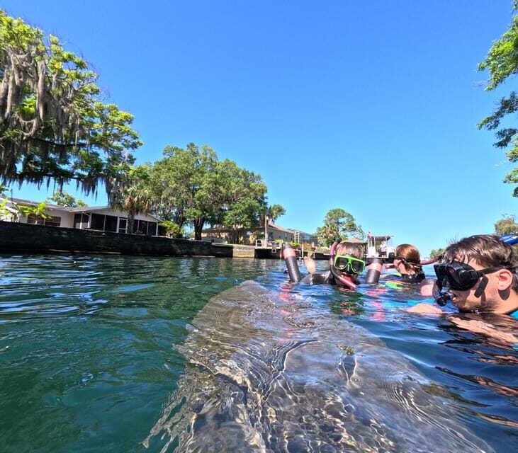 Crystal River: Guided Manatee Snorkeling Tour - The Experience Breakdown