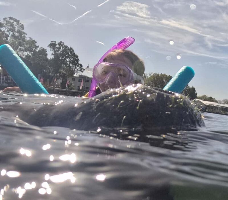 Crystal River: Guided Manatee Tour Heated Boat Free Photos - Final Thoughts