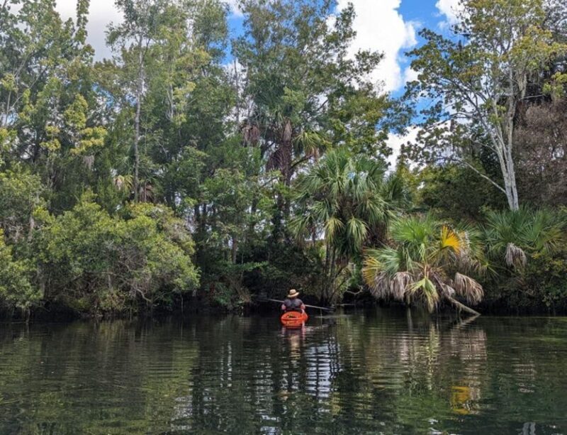 Crystal River: Kayak Rental - A Practical Guide to the Crystal River Kayak Experience