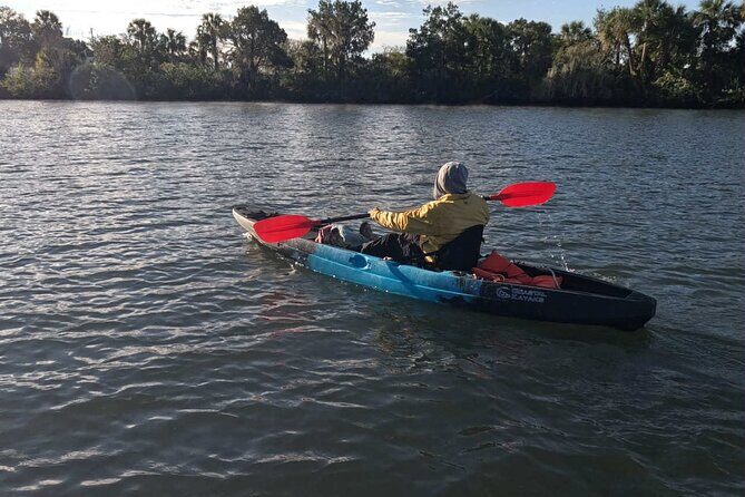 Crystal River Kayak RentalThree Sisters Springs & Manatee Refuge - Potential Drawbacks and Considerations