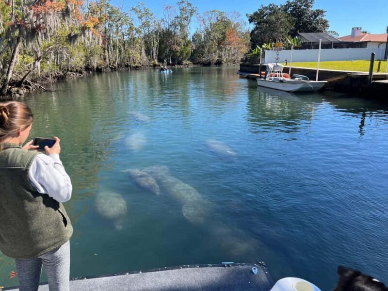 Crystal River: Manatee Eco-Tour Boat Ride - Crystal River: Manatee Eco-Tour Boat Ride — A Detailed Review