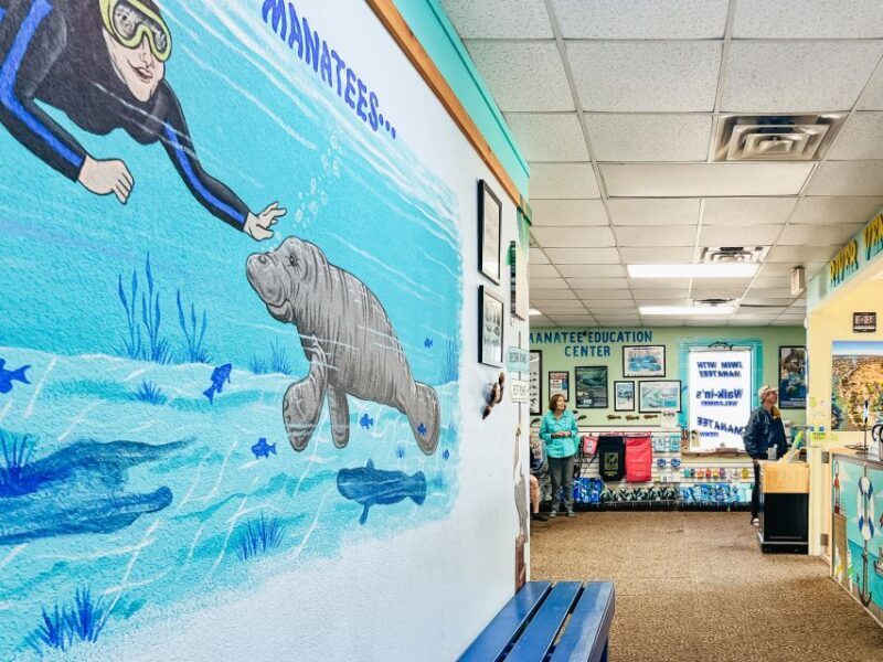 Crystal River: Manatee Snorkel Tour w/ In-Water Photographer - Frequently Asked Questions