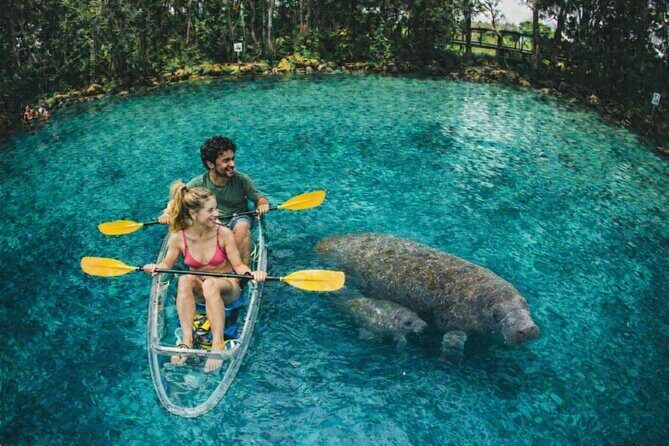 Crystal River Manatee Swim Tour Choose Your Kayak Paddleboard - An In-Depth Look at the Crystal River Manatee Swim Tour