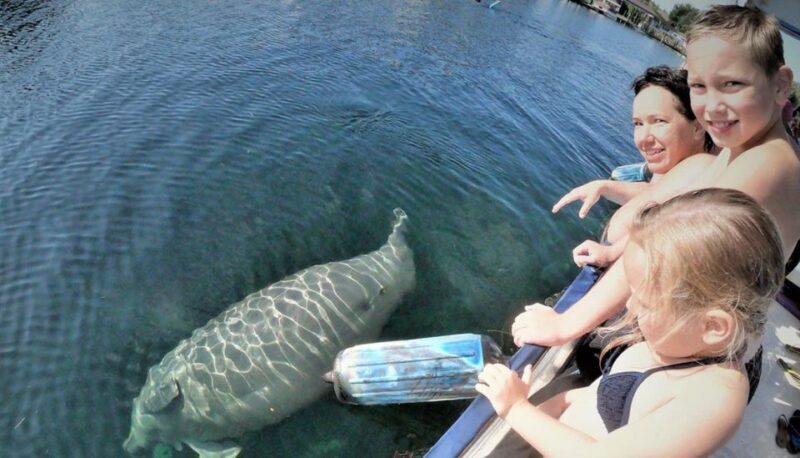 Crystal River: Manatee Viewing Cruise - Final Thoughts