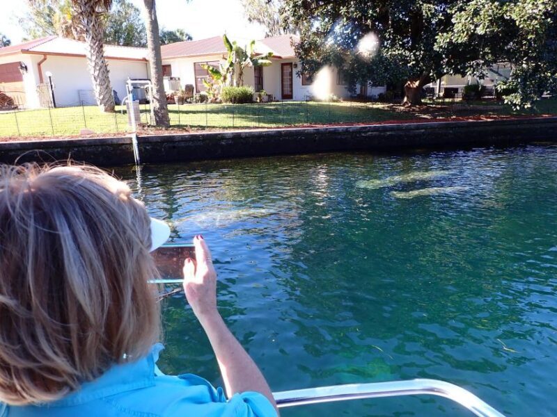 Crystal River: Manatee Viewing Cruise - FAQs