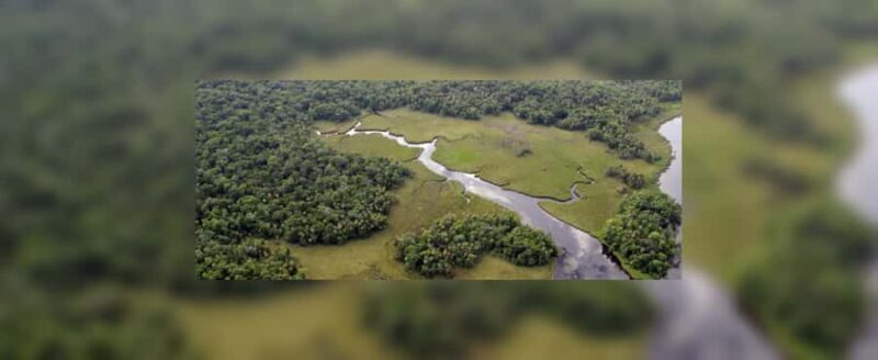 Crystal River: Naturalist Guide Eco Wildlife Manatee Tour - FAQ