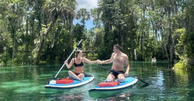 Crystal River: Paddle Board Rental - An Accurate Look at the Experience