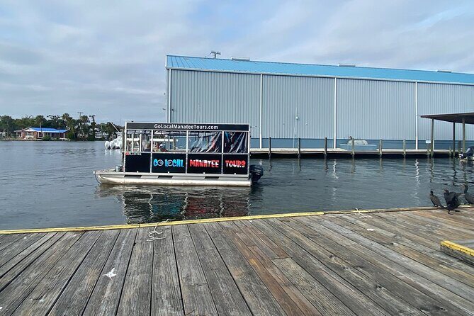 Crystal River: Private Manatee Boat Tour - A Final Word of Caution and Advice
