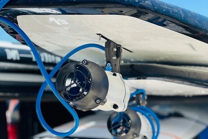 Crystal River Reserve State Park Electric Paddleboard Rentals - The Experience You Can Expect
