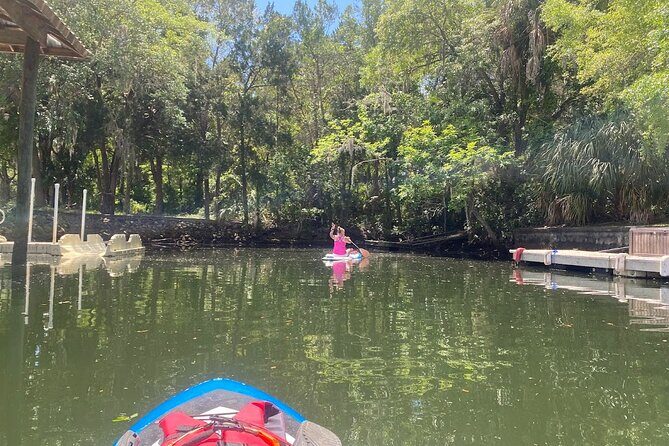 Crystal River Reserve State Park Electric Paddleboard Rentals - Practical Tips for Travelers
