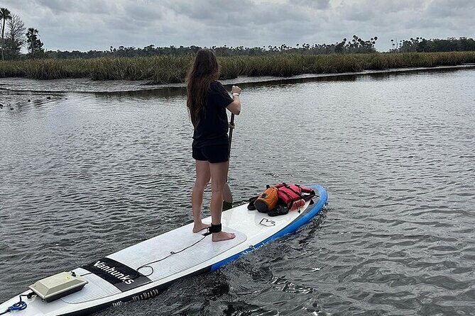 Crystal River Reserve State Park Electric Paddleboard Rentals - Authentic Feedback from Travelers