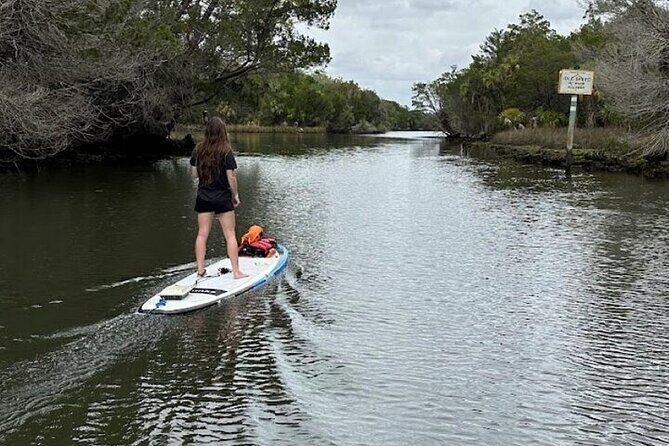 Crystal River Reserve State Park Electric Paddleboard Rentals - Who Will Enjoy This Tour?