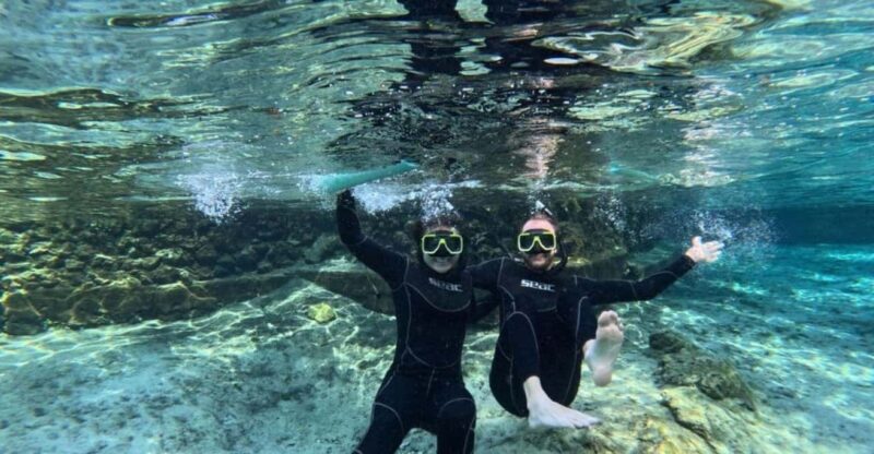 Crystal River: Springs Snorkeling Tour - What Makes This Tour Stand Out
