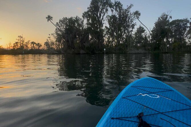 Crystal River Sunrise Manatee Clear Kayak Tour - Introducing the Crystal River Sunrise Manatee Clear Kayak Tour