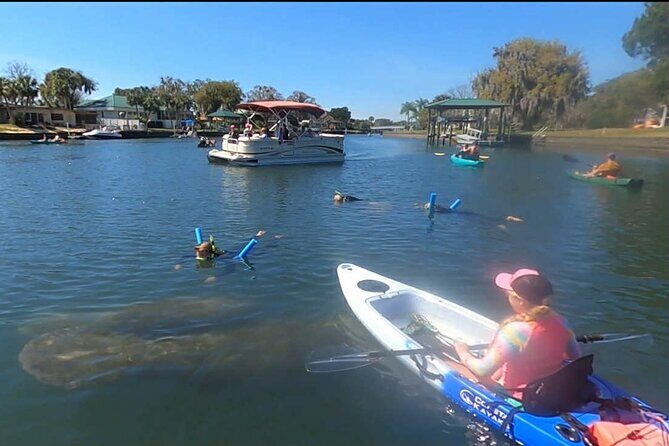 Crystal River Sunrise Manatee Clear Kayak Tour - How This Tour Compares to Others
