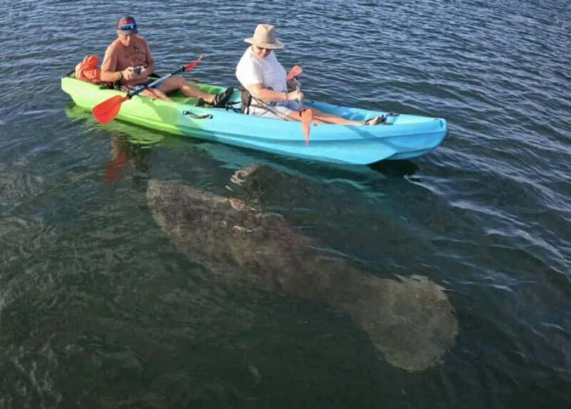 Crystal River: Sunset Kayak with Manatee Viewing Experience - A Detailed Look at the Experience