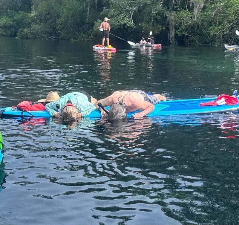 Crystal River: Sunset Kayak with Manatee Viewing Experience - Final Thoughts