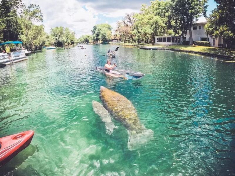 Crystal River: Three Sisters Springs Eco Tour by Clear Kayak - FAQ