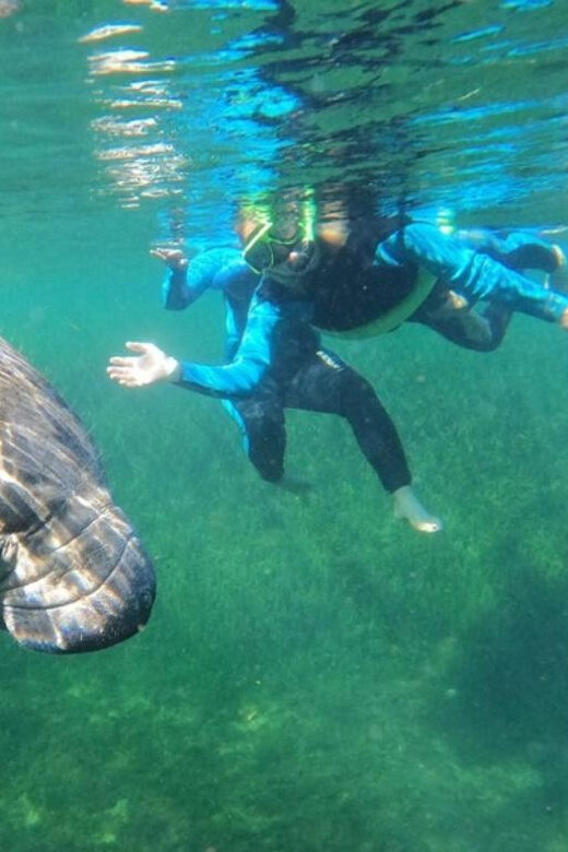 Crystal River: VIP Kayak and Swim with Manatees Tour - The Equipment and Comfort Level