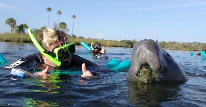 Crystal River: VIP Manatee Swim w/ In-water Photographer - What’s Unique About This Tour?