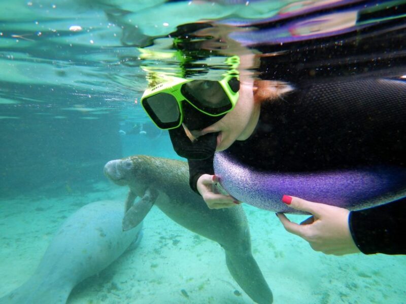 Crystal River: VIP Manatee Swim w/ In-water Photographer - What People Love (and What They Don’t)