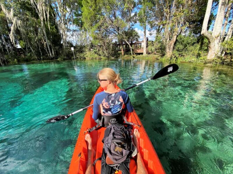 Crystal River:Three Sisters Springs Guided Kayak & Swim Tour - An Introduction to the Experience