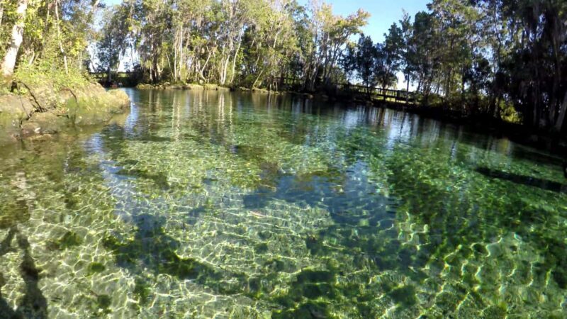Crystal River:Three Sisters Springs Guided Kayak & Swim Tour - What’s Included and What’s Not