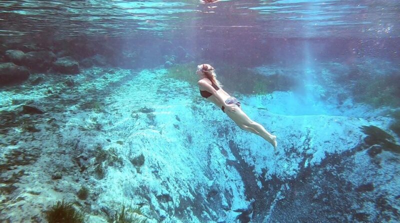 Crystal River:Three Sisters Springs Guided Kayak & Swim Tour - The Sum Up