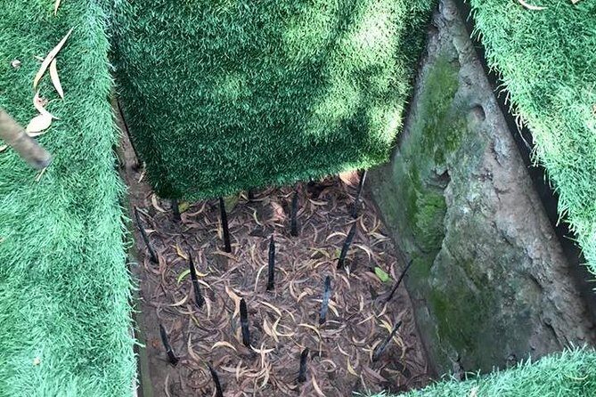 Cu Chi And Mekong Full Day Trip - A Deep Dive into the Tour