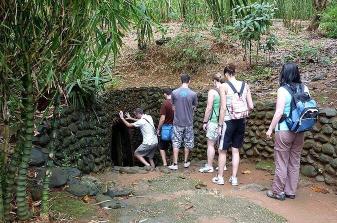 Cu Chi Tunnel Half Day Tour - PRIVATE - The Experience in Detail