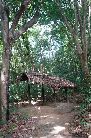 Cu Chi Tunnels and Ho Chi Minh City Private Full-Day Tour - The Sum Up