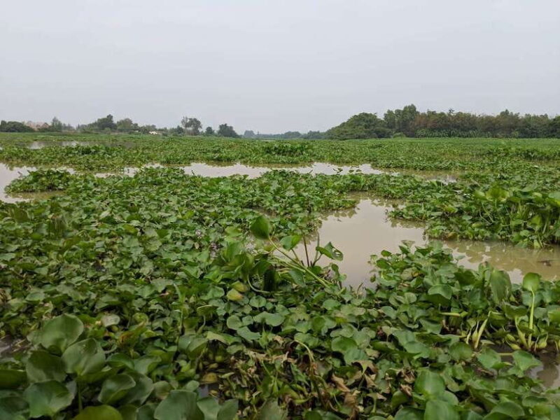 Cu Chi Tunnels & Mekong Delta Small Group Tour Full Day - FAQs