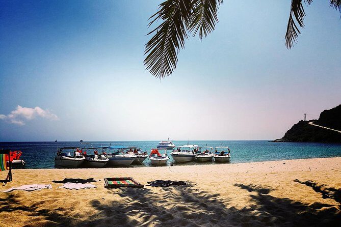 Cu Lao Cham Island Tour from Da Nang/ Hoi An - Authentic Experiences and Real Traveler Insights