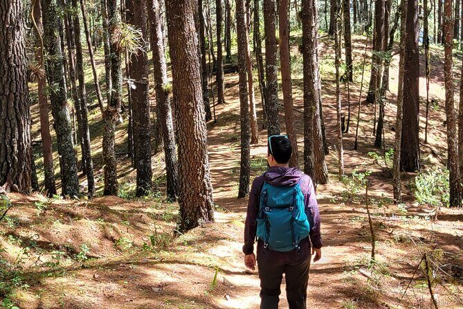 Cuajimoloyas Private Hiking Bushwalking Oaxaca Adventure - What’s Included and What to Consider