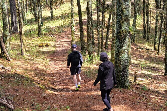 Cuajimoloyas Private Hiking Bushwalking Oaxaca Adventure - Who Will Love This Tour?